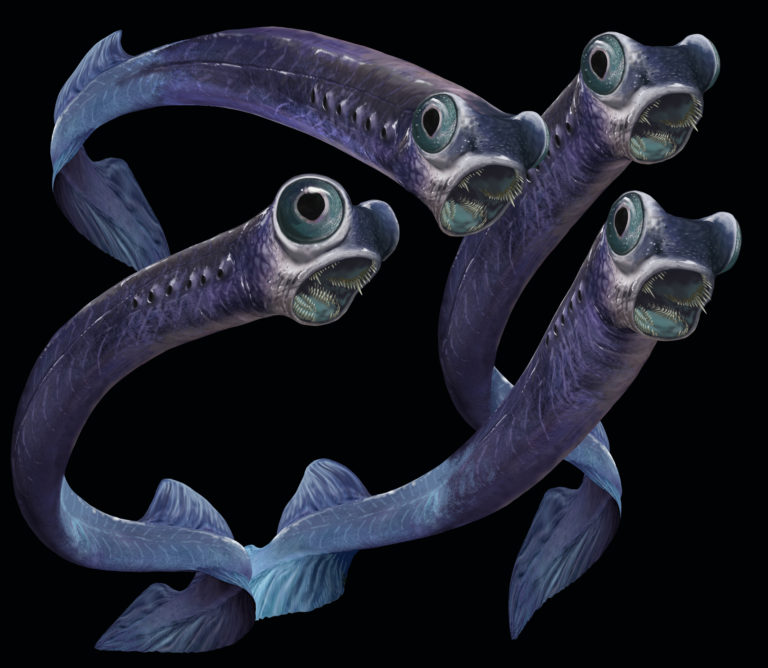 Exhibition texts – naturum Gotland